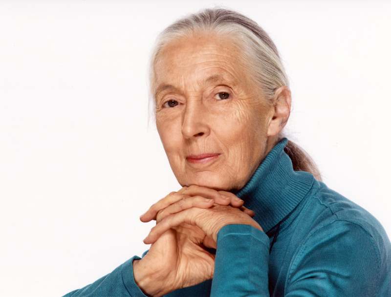 Jane Goodall com Douglas Abrams - Penguin Livros